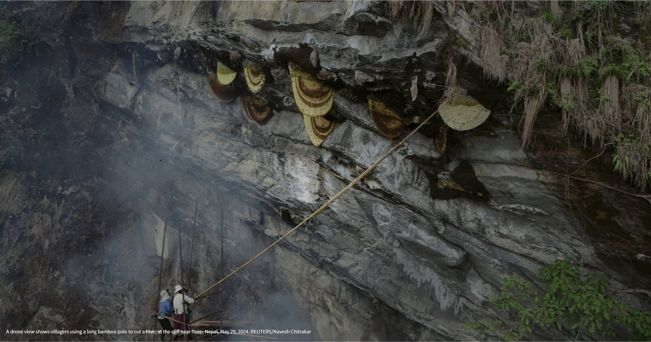 Ảnh: Nghề hái tổ ong rừng ở dãy Himalaya, Nepal, leo cao 50m lấy mật ...