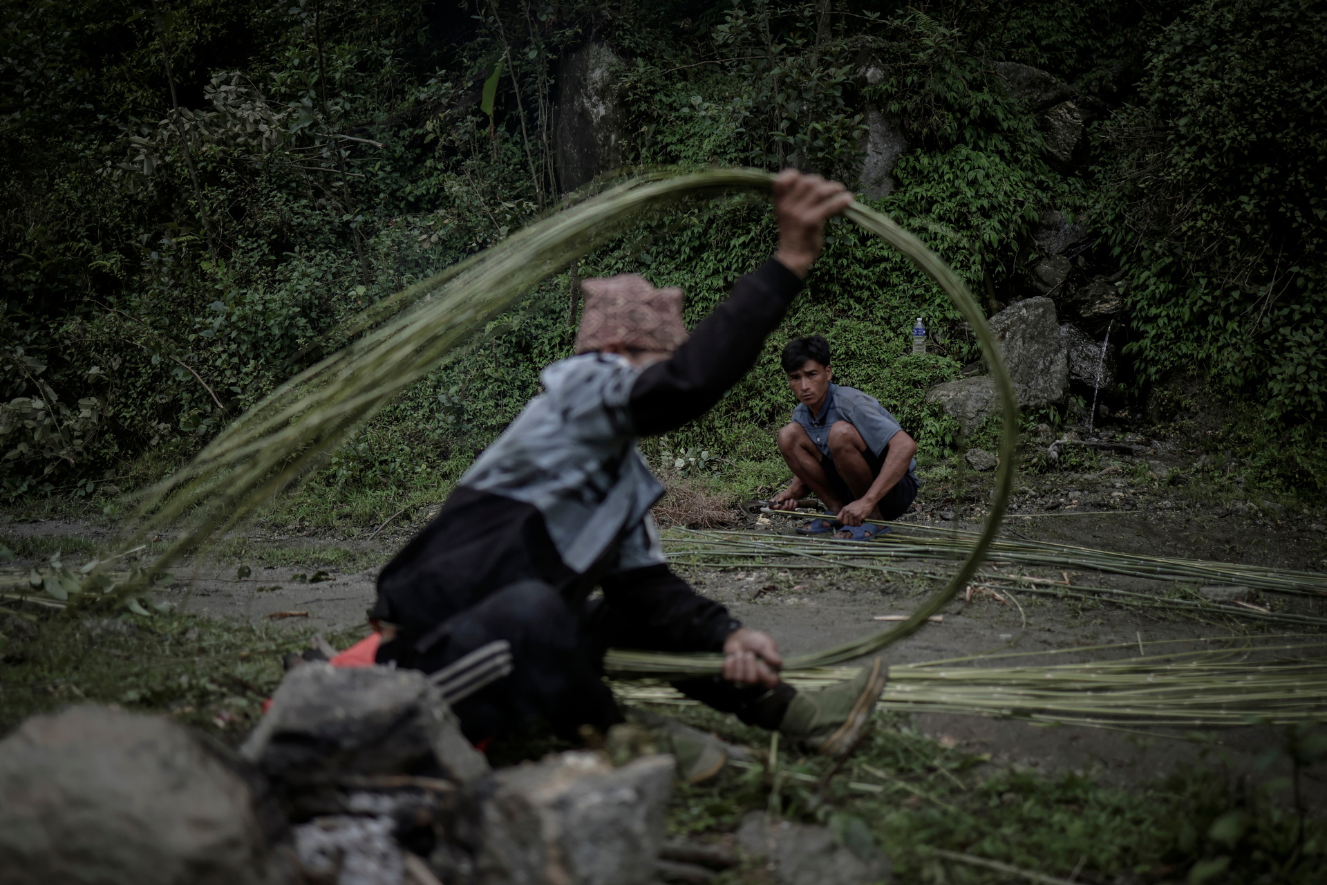 Ảnh: Nghề hái tổ ong rừng ở dãy Himalaya, Nepal, leo cao 50m lấy mật ...