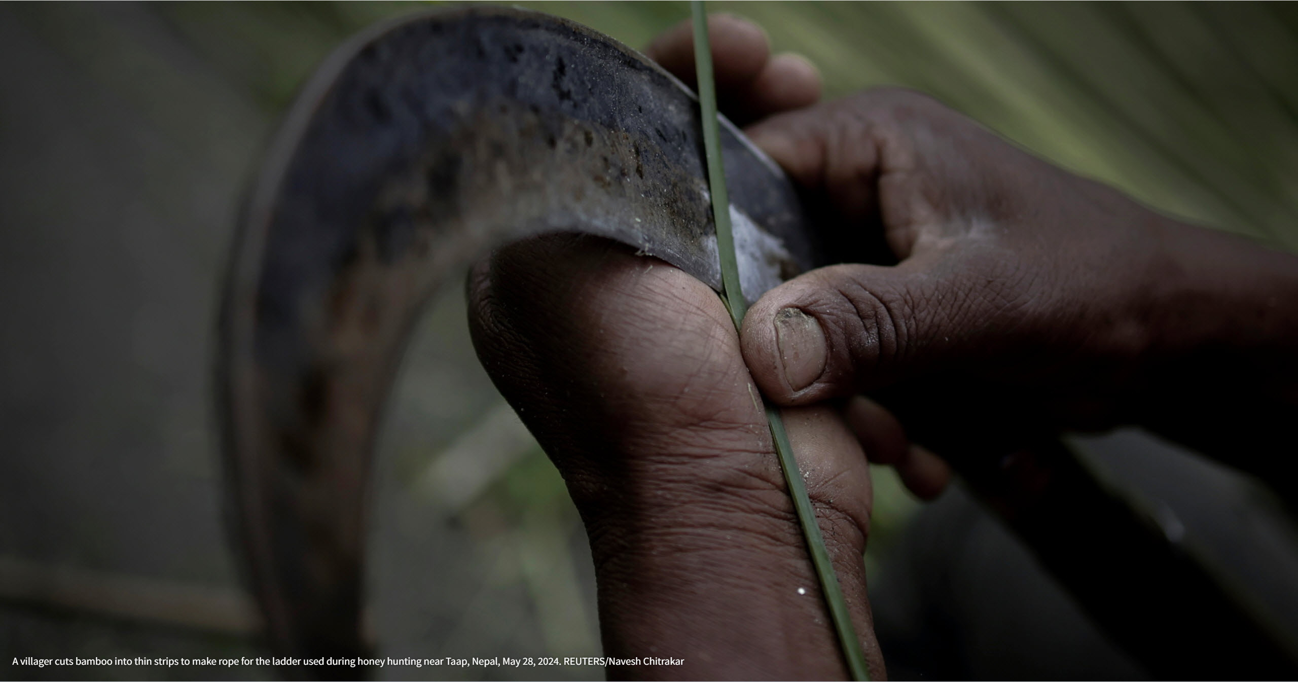 Ảnh: Nghề hái tổ ong rừng ở dãy Himalaya, Nepal, leo cao 50m lấy mật ...