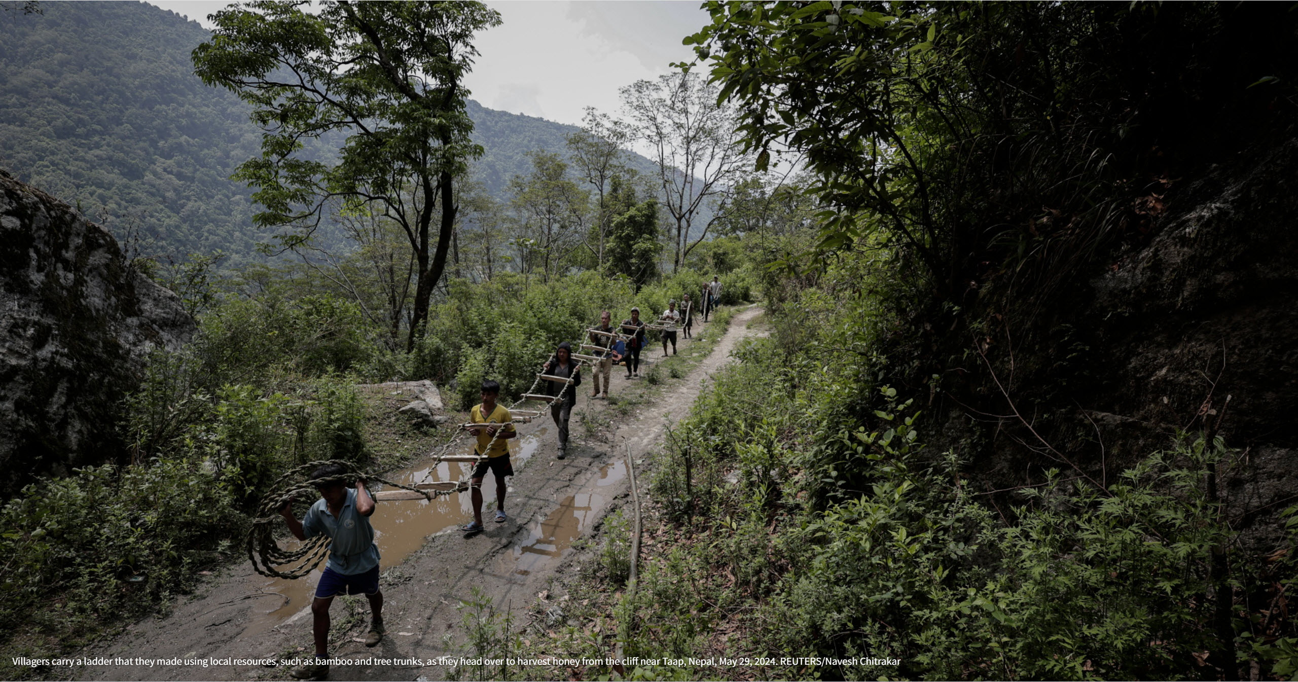 Ảnh: Nghề hái tổ ong rừng ở dãy Himalaya, Nepal, leo cao 50m lấy mật ...