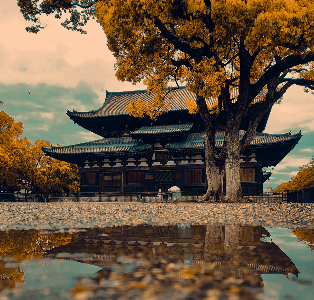 Sacred journey of Ku-kai | Viết bởi kukai