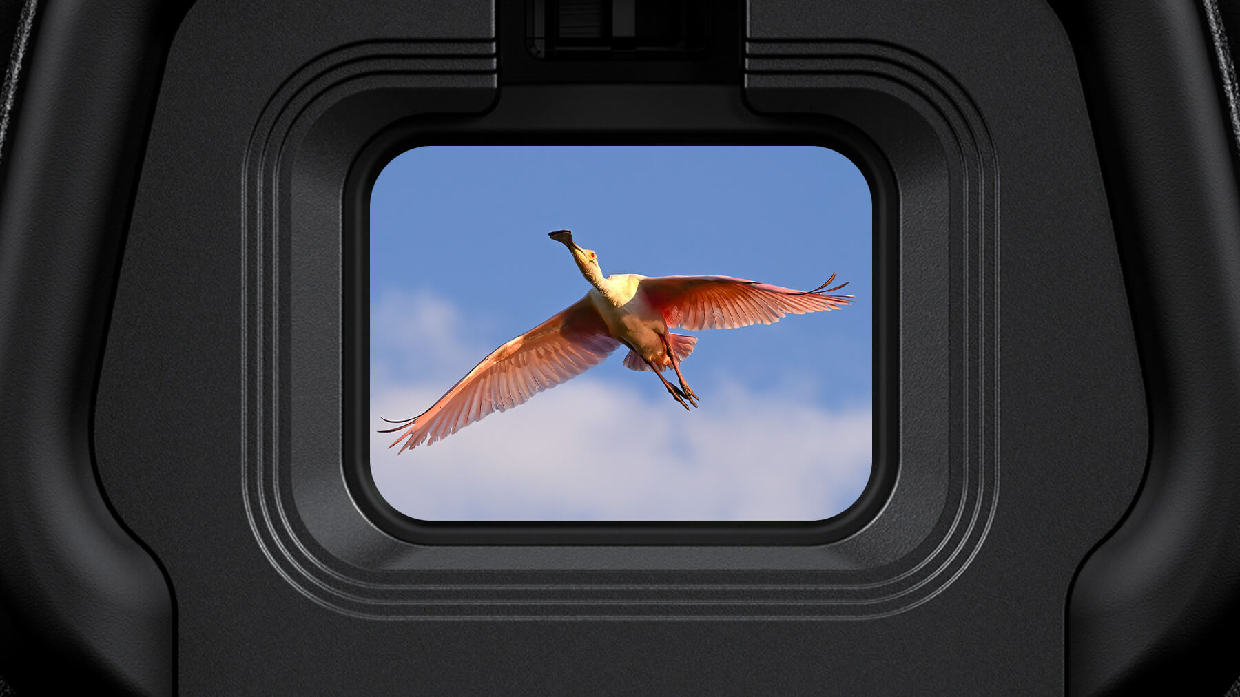 Chi tiết về Nikon Z6 III: quay 6K RAW, cảm biến mới 24.5MP, EVF sáng 4000nit