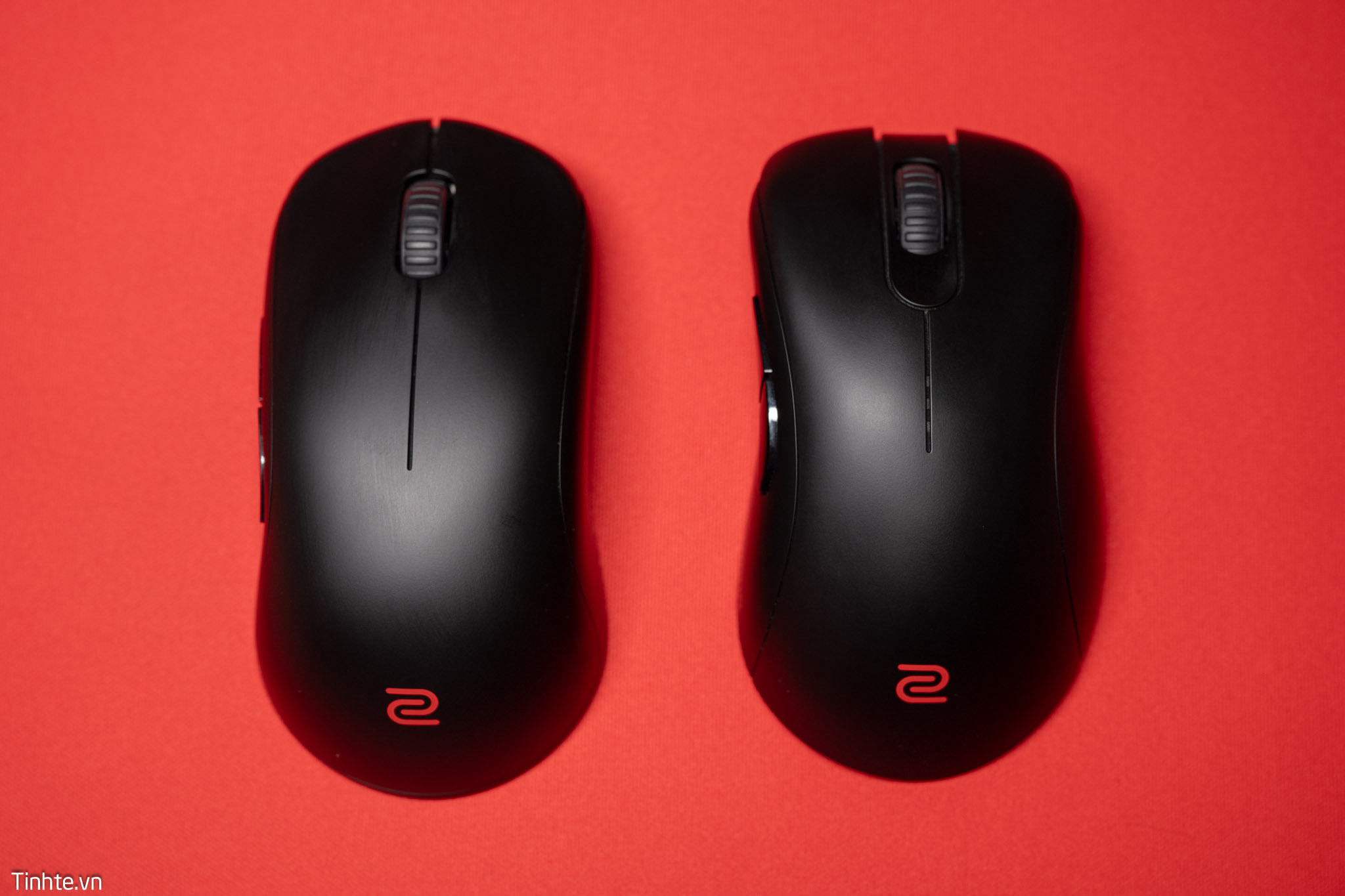 BenQ Zowie EC3-CW: Không phải là tốt nhất, nhưng có thứ quan trọng nhất ...